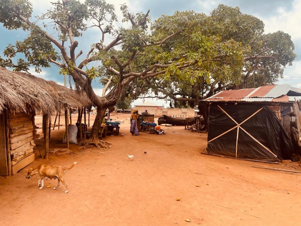 PROJECTS - Bridge-To-Africa Connection, Inc.